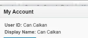 Writing Annual Leave Reconciliation Form Query with Oracle HCM Cloud Sql - Kaan Can Calkan